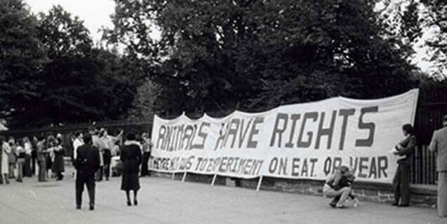 11 Times PETA Was Ahead of the Curve on Animal Rights | PETA