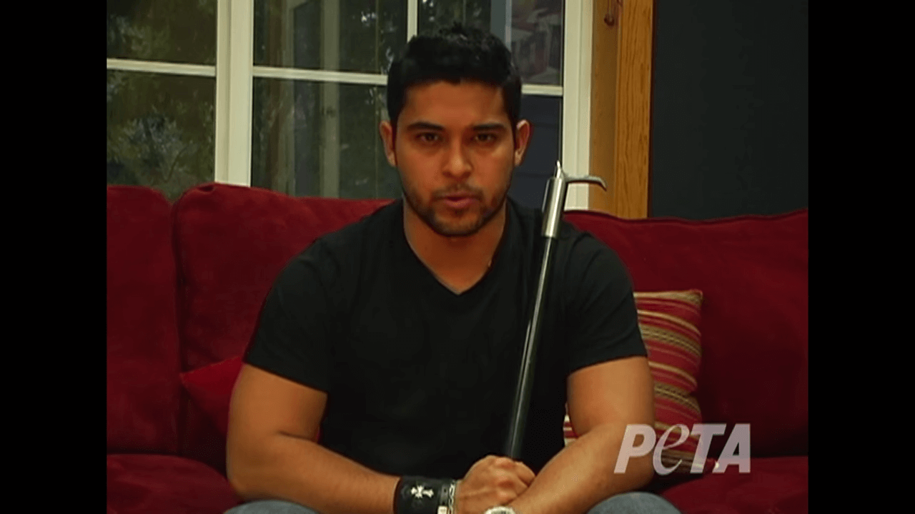 Wilmer Valderrama: Anti-Circus 0:30 | PETA
