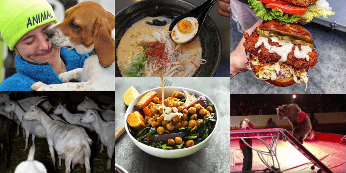 PETA’s Top 10 List of Top 10 Lists—You Read That Right