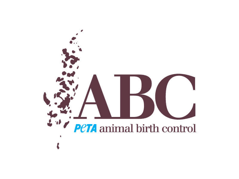 Introducing PETA's ABC Campaign | PETA