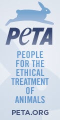 Web Banners | PETA
