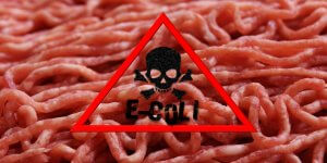 Contamination Facts: Food Poisoning and Meat | PETA