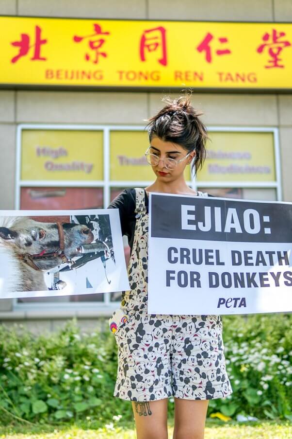 Everyday Activism | PETA