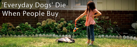 'Everyday Dogs' Die When People Buy | PETA
