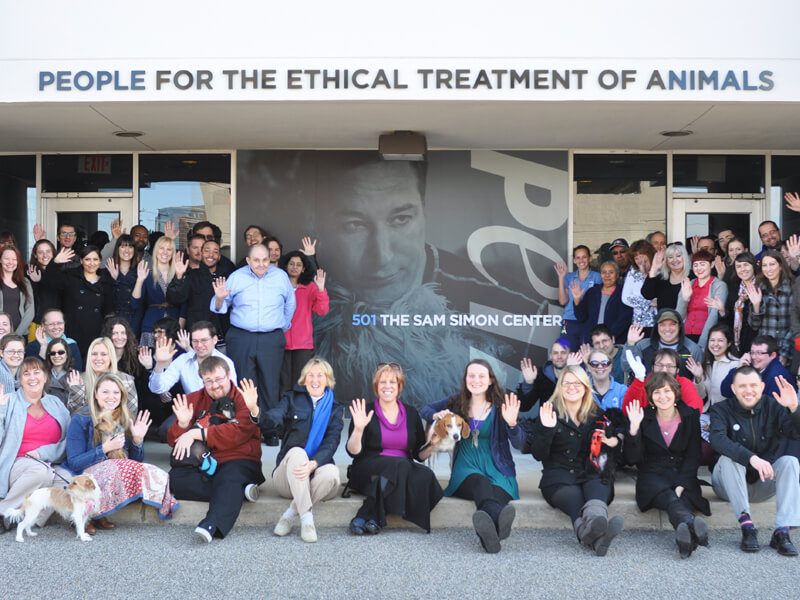 Work at PETA or the PETA Foundation | PETA