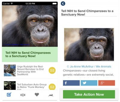 Help Animals Anytime With One Click—Get PETA's iPhone App | PETA