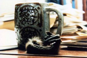 The Silver Spring Monkeys: The Case That Launched PETA | PETA