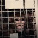 The Silver Spring Monkeys: The Case That Launched PETA | PETA