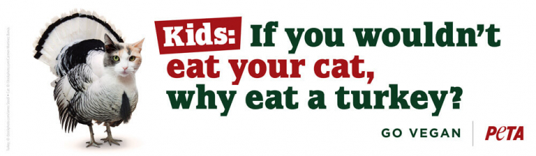 PETA's Most Attention-Grabbing Efforts to Save Turkeys | PETA