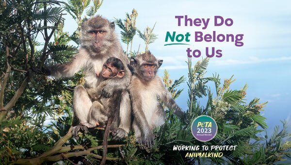 About PETA | PETA.org