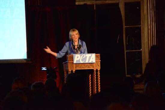 PETA President Reveals the Key to Animal Rights Success | PETA