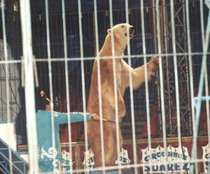 PETA's Milestones | Victories | About PETA | PETA.org
