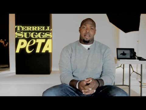 Terrell Suggs’ “Ink, Not Mink” Photo Shoot | PETA