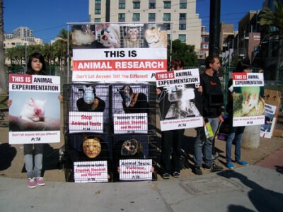 Ways to Help Animals in Laboratories | PETA