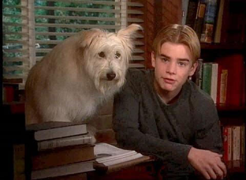 David Gallagher Dissection Ad | PETA