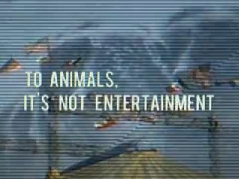 To Animals, It's Not Entertainment peta2 | PETA