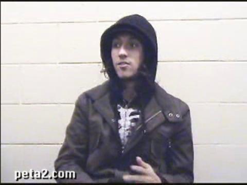 Saosin’s Cove Reber | PETA