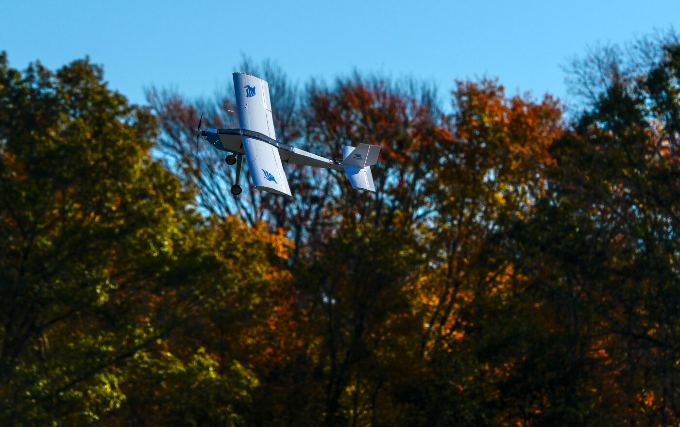 PETA Tells Hunters and Anglers: 'We're Watching From Land and Sea' | PETA