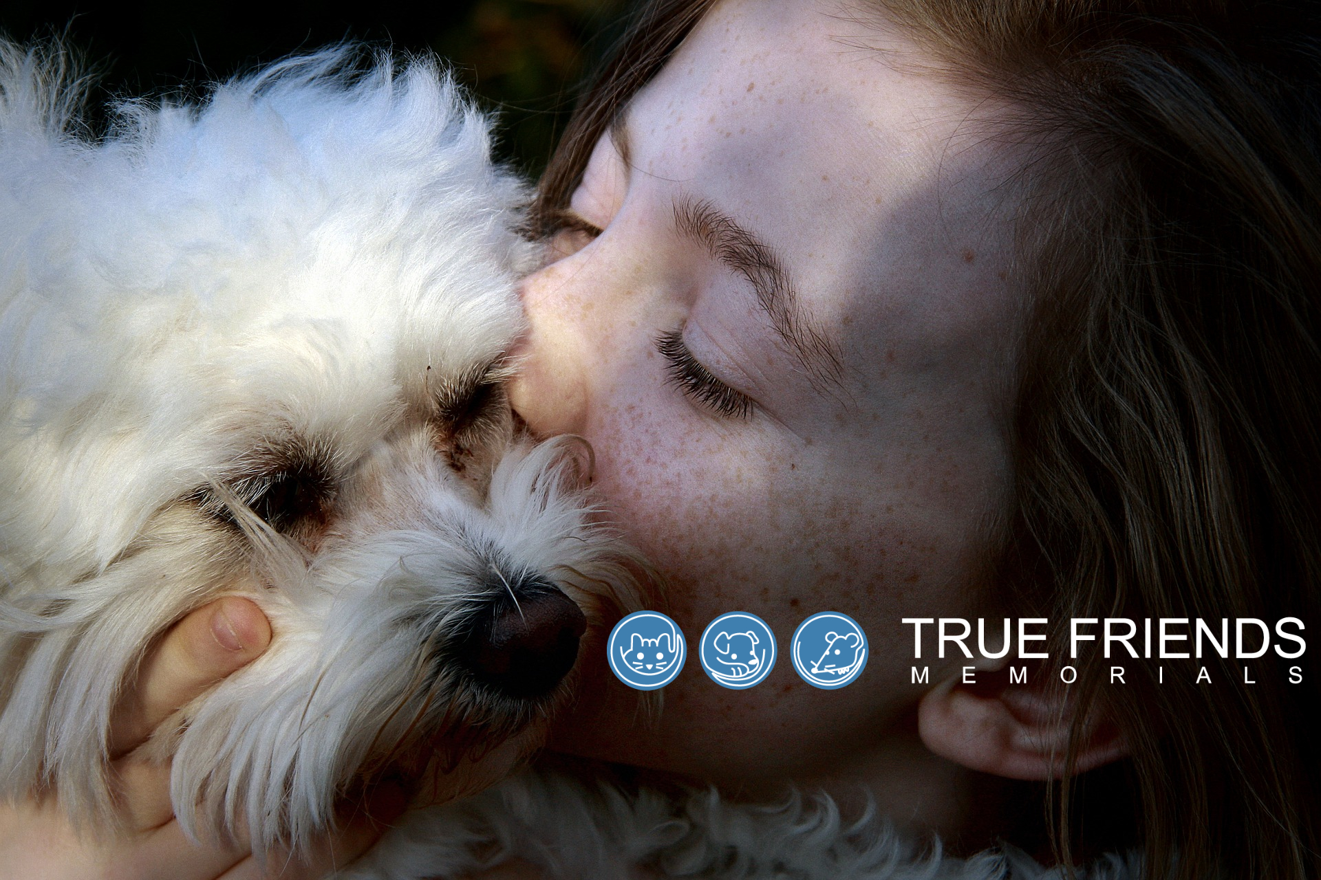 Places To Donate Money For Animals | Support PETA
