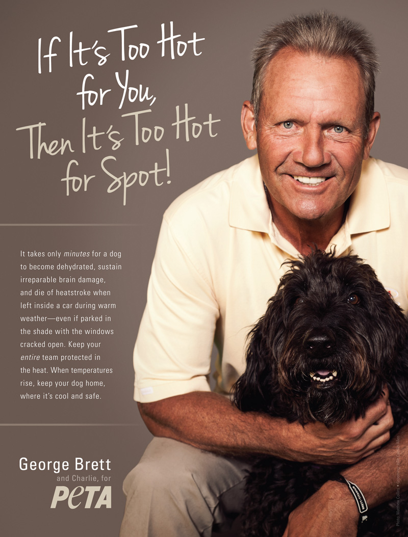 George Brett: Too Hot For Spot 0:30 | PETA