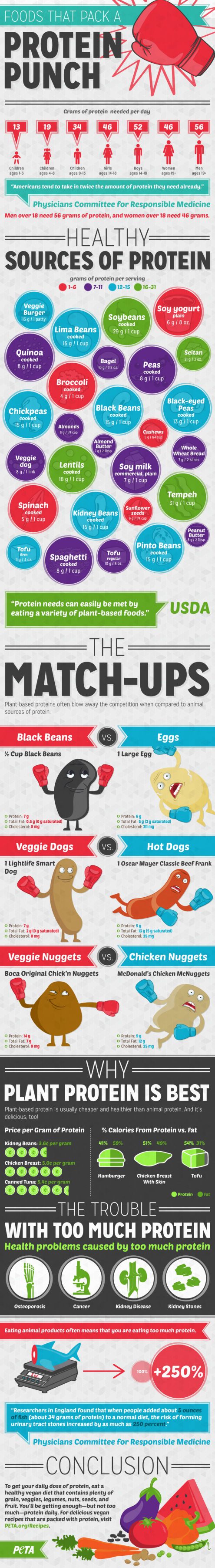 These Foods Are Good Vegan Protein Sources | PETA