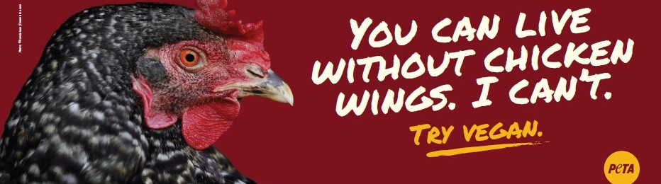 Media Center | PETA.org