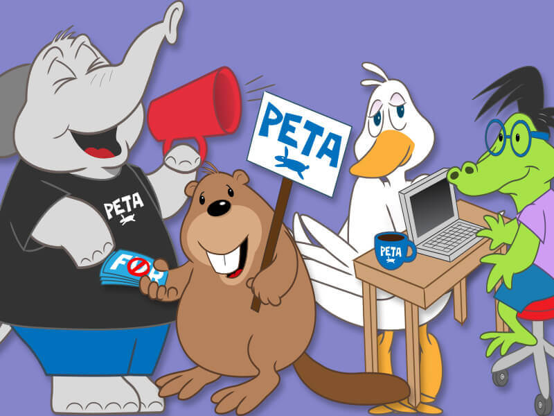 What's Your Animal-Saving Style? | PETA