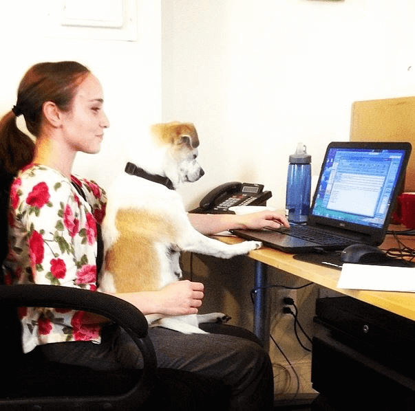 See Who Inspires PETA and PETA Foundation Staffers Every Day | PETA