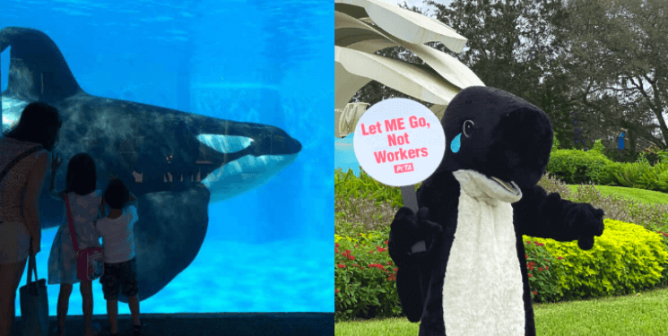 PETA Takes On Industries That Exploit Animals | Campaigns