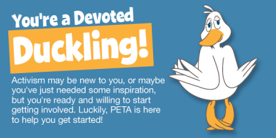 PETA's Activism Tips | PETA