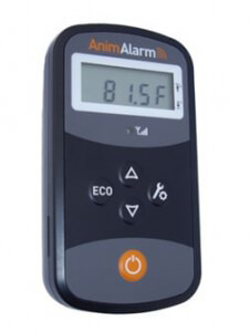 Your Dog or Cat Will Really Dig These Animal Gadgets | PETA