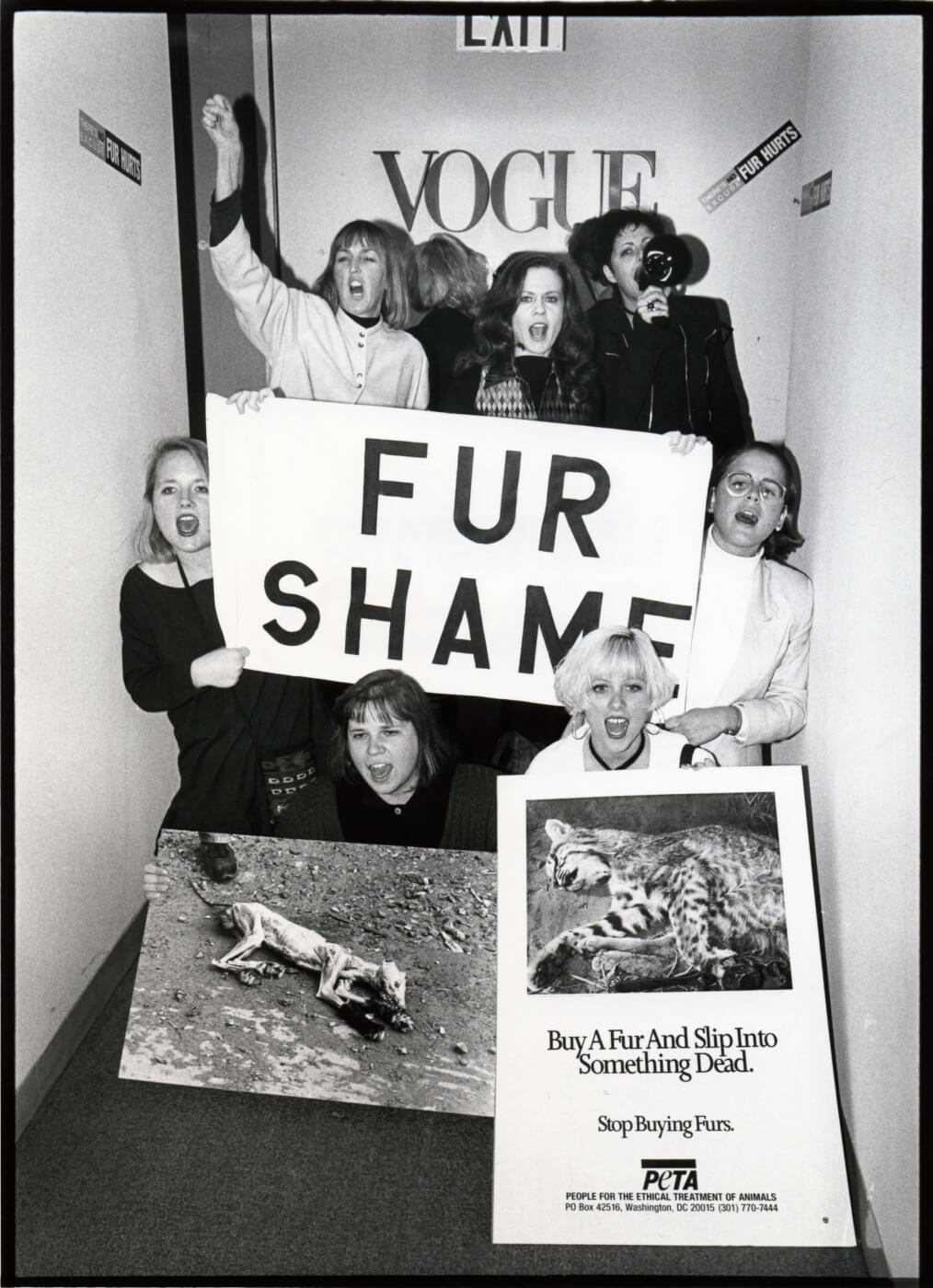 How PETA Made Fashion History | PETA