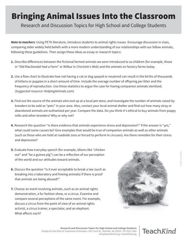 Animal Rights Essay Animal Rights Essay Persuasive Reviews With 