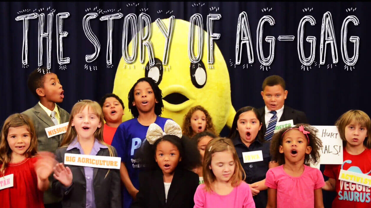 The Story of Ag-Gag! | PETA