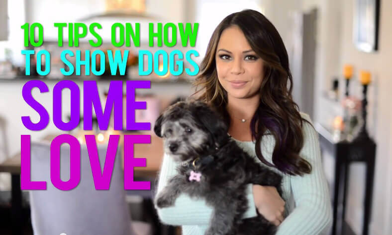 Page 15 | Misc. | PETA