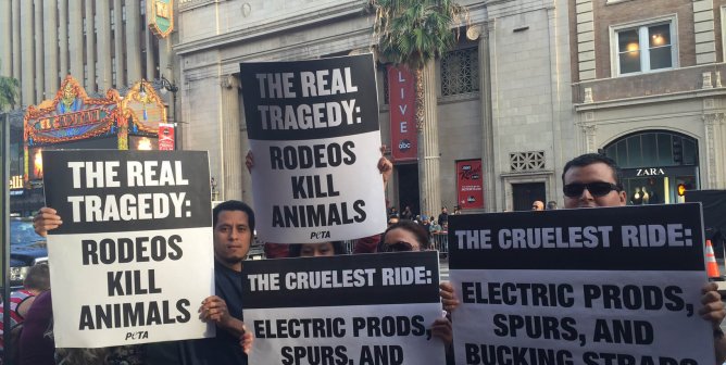 Rodeos page 2 | PETA