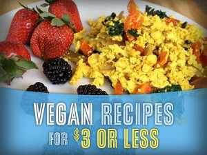 Save Money With These Vegan Recipes Under $3 | PETA