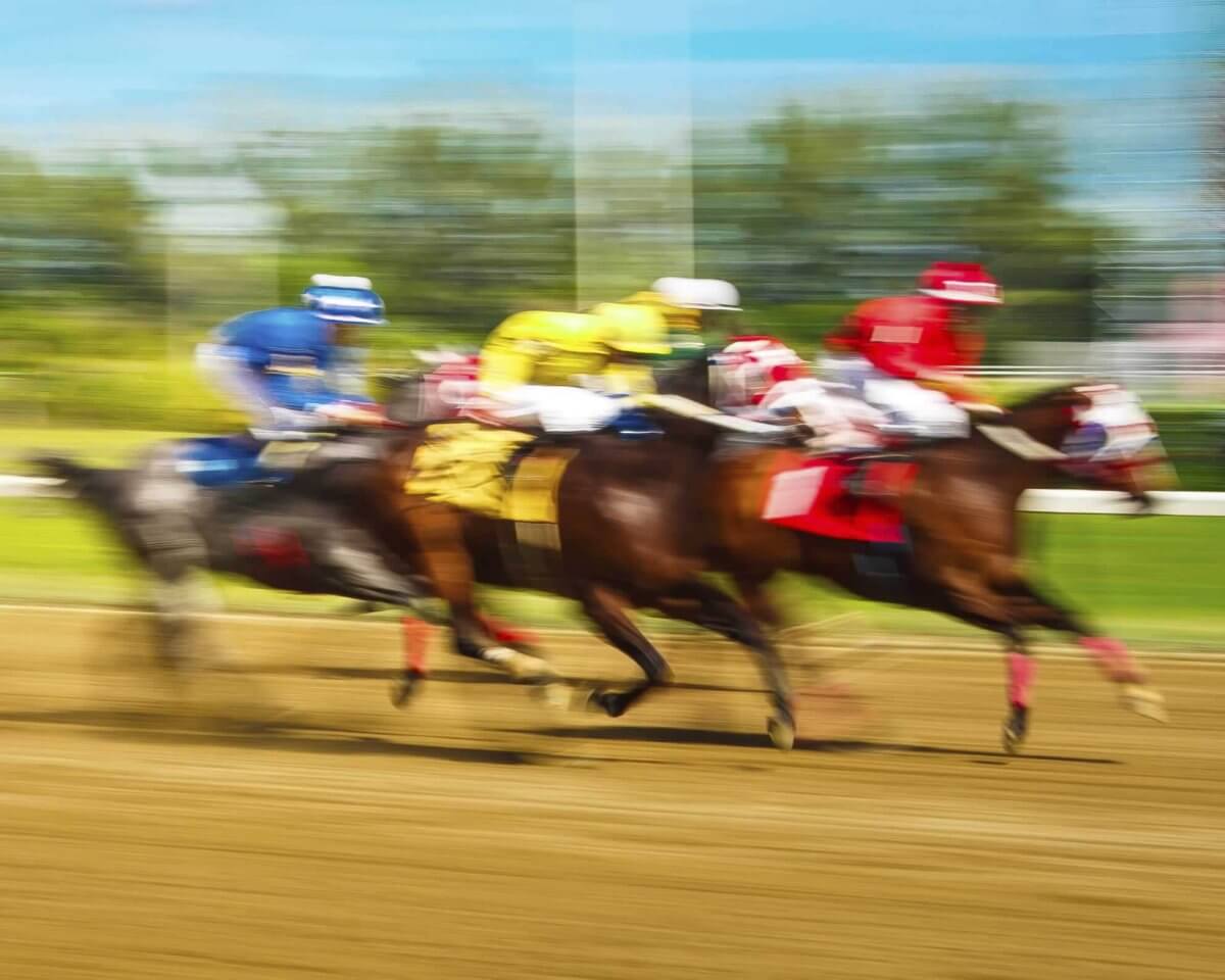 R.I.P., Doctor Titilo | PETA