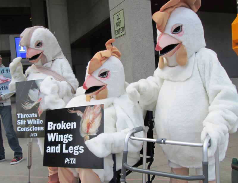 Crippled 'Chickens' Cross the Road to Protest Poultry Group's Meeting ...