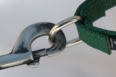 Pack an Emergency Animal Rescue Kit — Here's How | PETA