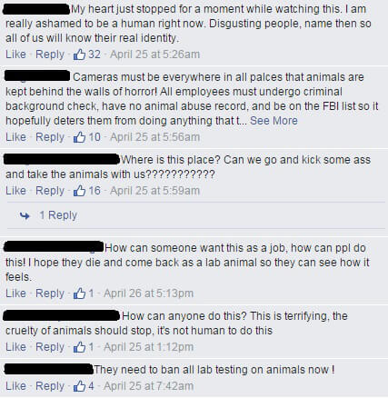 PETA Facebook Posts That Broke the Internet | PETA