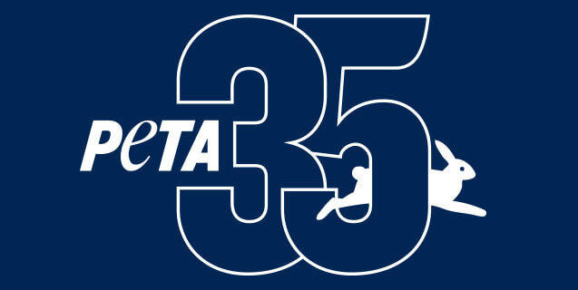 Uncategorized page 20 | PETA