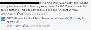 PETA Facebook Posts That Broke the Internet | PETA