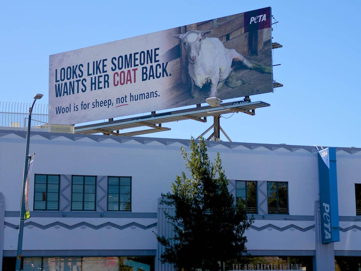 3 Simple Steps for Placing an Animal Rights Billboard | PETA