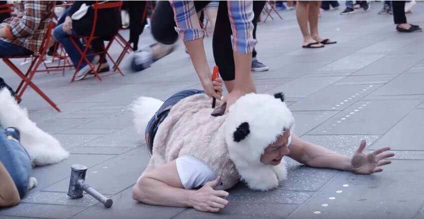 Video: What It Would Look Like if Humans Were Sheared Like Sheep | PETA