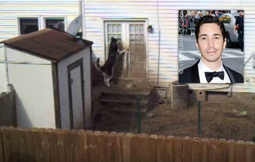 Justin Long Stars as Charlie, a Neglected ‘Backyard Dog’ | PETA