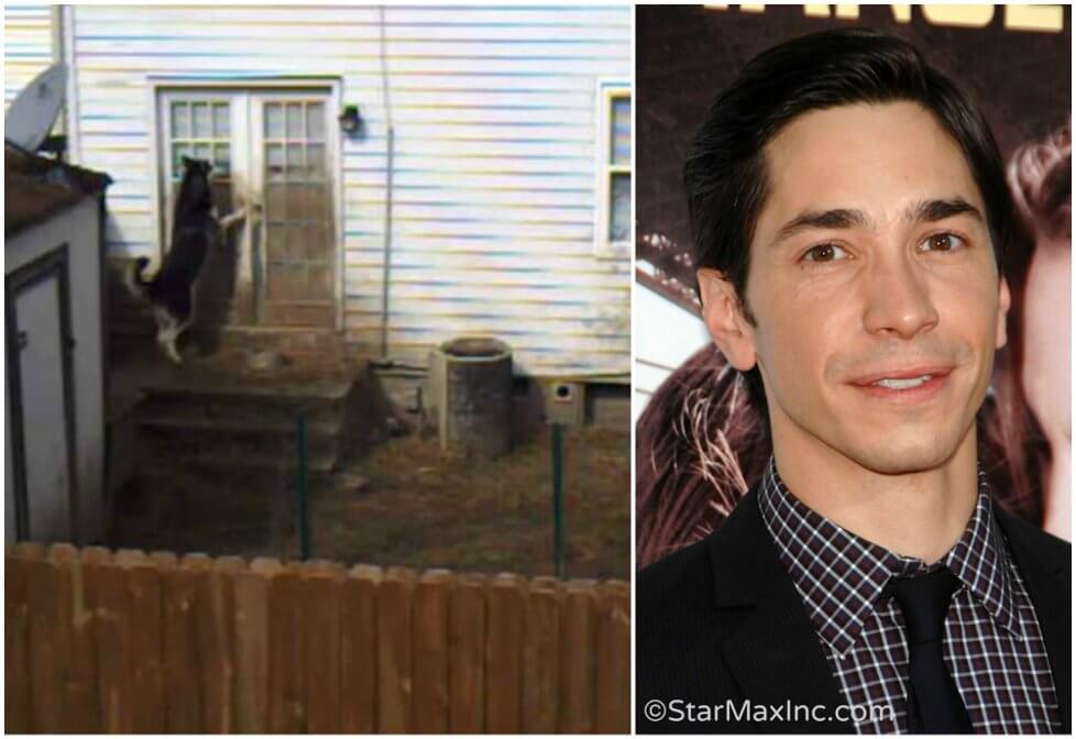 Justin Long Stars as Charlie, a Neglected 'Backyard Dog'