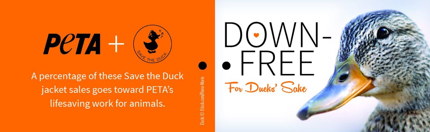 Down-Free Puffer Jackets from Save the Duck | PETA Living
