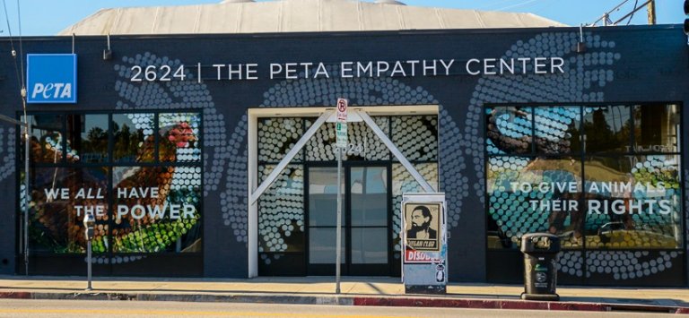 The PETA Empathy Center | PETA