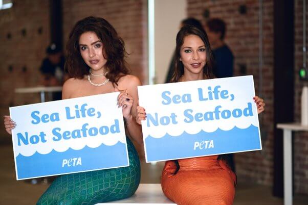 The PETA Empathy Center | PETA